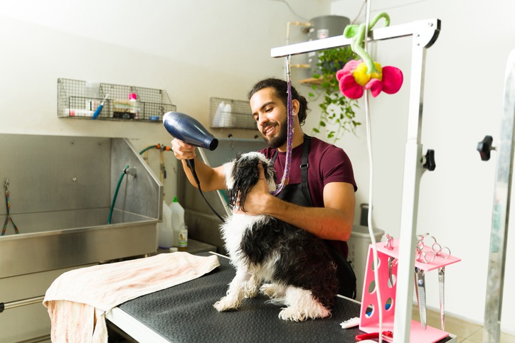 How Do I Choose a Safe Pet Grooming Salon? - LIFE CLASS